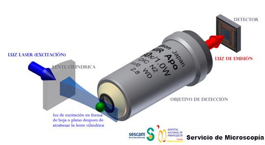 LIGHT-SHEET MICROSCOPY O MICROSCOPIA DE LAMINA DE LUZ – SERVICIOS DE ...