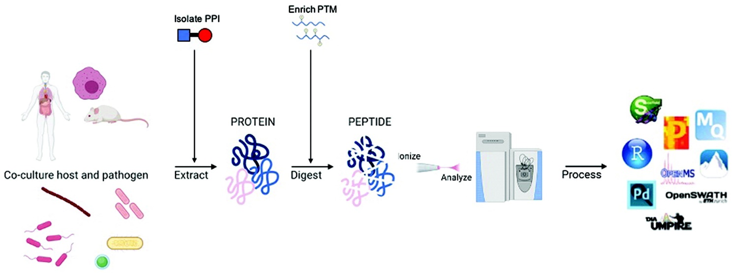 BOTTOM-UP PROTEOMICS: VENTAJAS, INCONVENIENTES Y FUTURO DE ESTE CAMPO ...