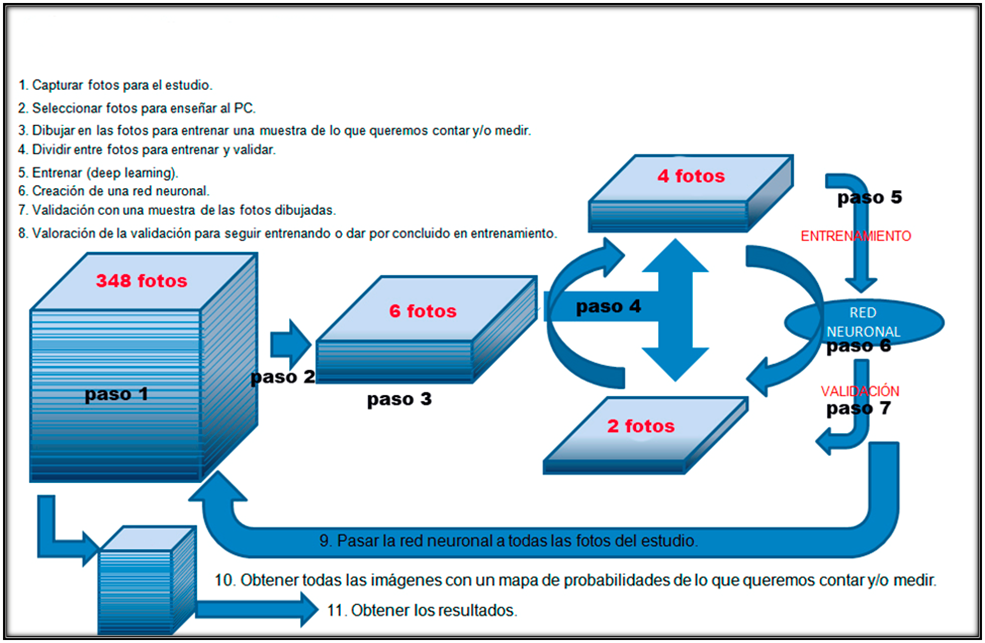 3. EJEMPLOS DE ENTRENAMIENTOS DE REDES NEURONALES MEDIANTE DEEP ...