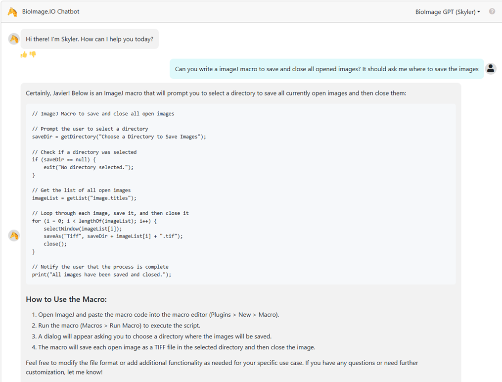 DESCUBRIENDO EL BIOIMAGE.IO CHATBOT: TU ASISTENTE DE INTELIGENCIA ARTIFICIAL PARA TRABAJAR CON ...